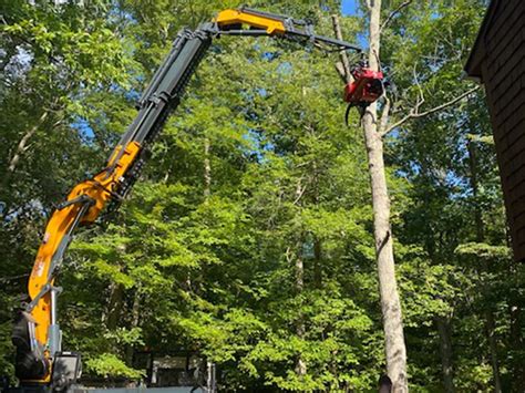 Mechanical Tree Removal Krohn Kutz Tree Service