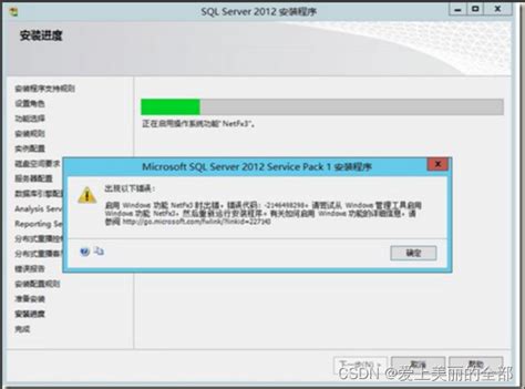启用 windovs 功能 netfx3 时出错，错误代码 2146498529。请尝试从 windovs 管理工具启用windovs