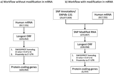 workflows for finding protein coding genes panel a describes the