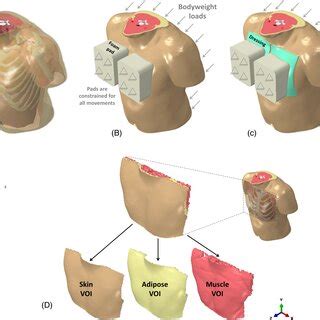 Geometry And Boundary Conditions Of The Computational Finite Element