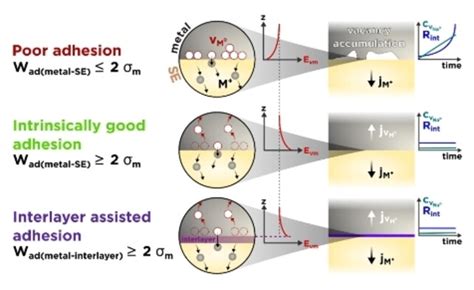 Understanding And Engineering Interfacial Adhesion In Solid‐state