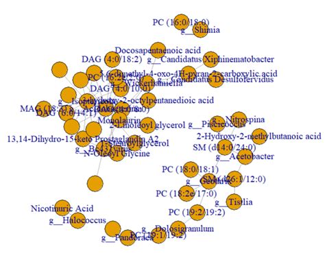 基于r和gephi做宏基因组与代谢组等多组学联合network相关性网络图gephi网络图 Csdn博客