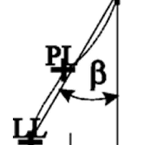 C7 Spinous Process Of The Seventh Cervical Vertebra Kp Thoracic Download Scientific