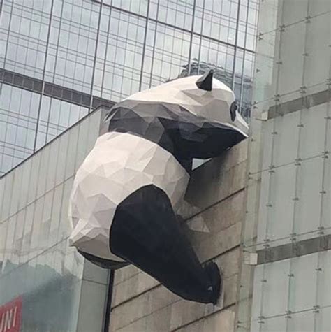 成都楼顶上的熊猫 成都大熊猫爬楼 成都熊猫楼顶ifs 大山谷图库