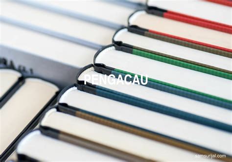 2 Arti Kata Pengacau Kamus Besar Bahasa Indonesia Kbbi