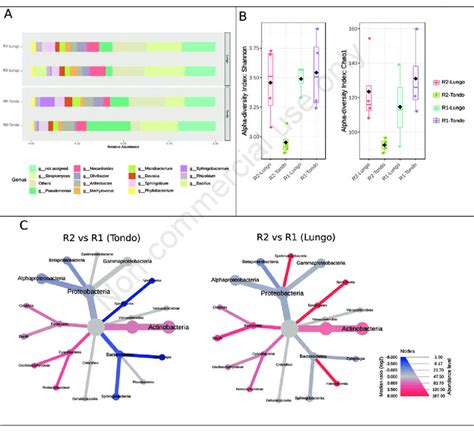 Results Of Metabarcoding Analysis Of Rhizosphere Samples A Stacked