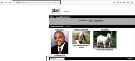 Vulnerability How To Find Vulnerable Php Parameter Such As `phpid