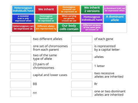 1 Inheritance And Variation Part 2 Alleles And Inheritance Match Up
