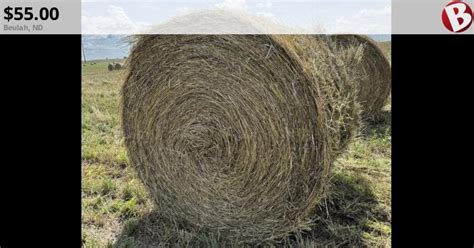 Alfalfa Grass Mix Hay Bales 150 Available Located In Garrison North