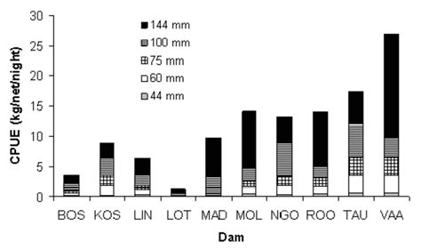 CPUE By Mesh Size In Experimental Gill Net Fleets Set In 10 Dams In The Download Scientific