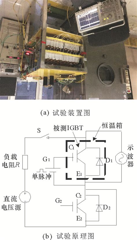点击查看原图