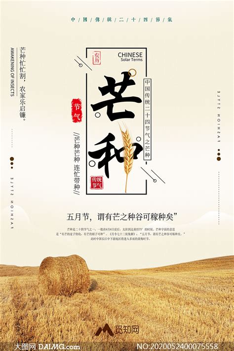 中国传统芒种节气海报设计psd素材大图网图片素材
