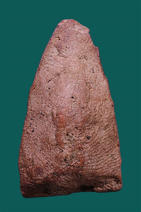 หลวงพ่อทวด วัดประสาท พิมพ์เล็กอาปาเช่ พระเครื่อง พระแท้ Webpra เว็บ พระ คอม