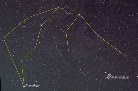 水瓶座 性格运势分析 新浪星座 新浪网