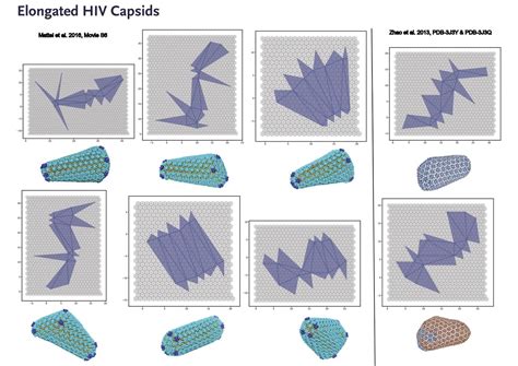 Viral Coral Arks Eveline Kolijn