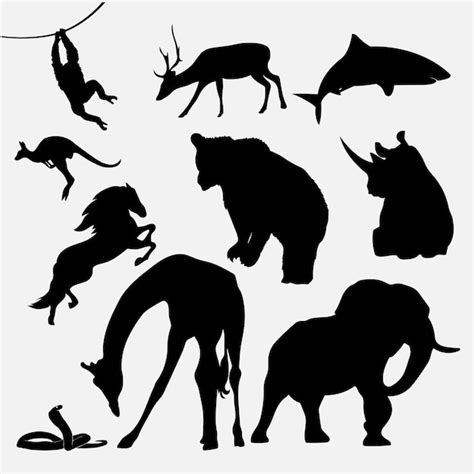 Premium Vector Animals Vector Png
