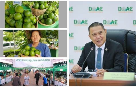 ‘กรมเกษตร ดันยอดขายรวมตลาดเกษตรกรออนไลน์ทะลุ 800 ล้านบาทสำเร็จ ชวนช้อปสินค้าเกษตรไทยมอบให้คุณ