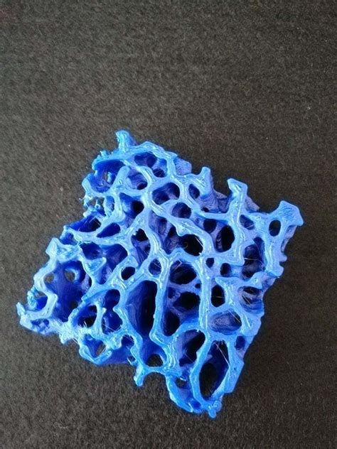🦴 Trabecular Bone・3d Print・cults