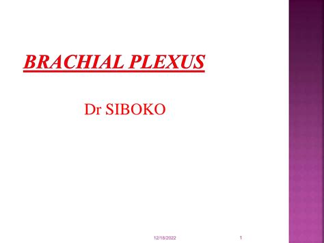SOLUTION Brachial Plexus Studypool SOLUTION Brachial Plexus Studypool