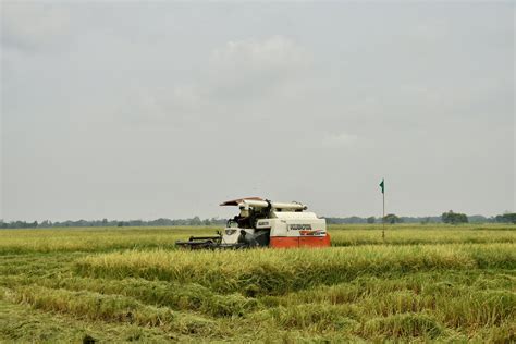 Myanmarnationalpost ပဲခူးတိုင်းဒေသကြီး ဝန်ကြီးချုပ် ဦးမျိုးဆွေဝင်း သာယာဝတီခရိုင်အတွင်း စိုက်ပ