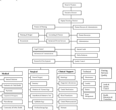 Hospital Department Structure Hospital Department Structure