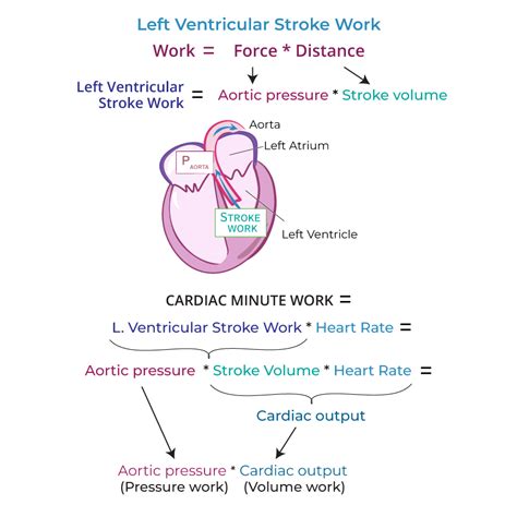 Cardiac Output Cardiac Output From The Arterial Catheter Deceptively