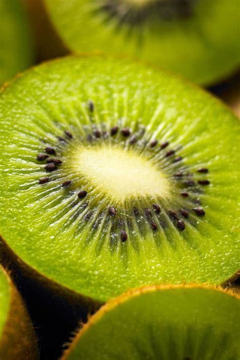New Zealand Government Using Taxpayer Funds To Develop Naked Hairless