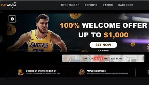 Offshore Sportsbooks Usa Why Betwhale Is Winning The