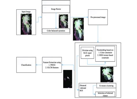 Proposed Methodology Block Diagram For Identification Of Diseased