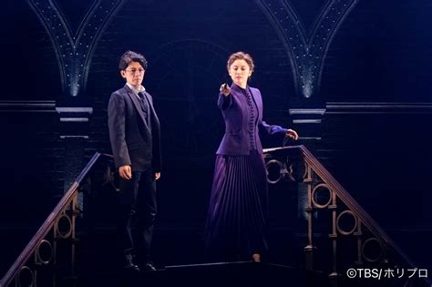 画像】舞台『ハリー・ポッターと呪いの子』笹本玲奈、石垣佑磨ら新キャスト6名が一挙デビュー 10月に竪山隼太のカムバックも決定」の画像511