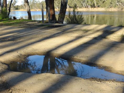 Tree Reflection Australian Photography