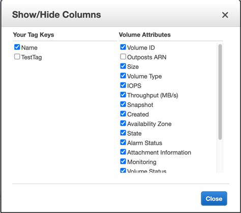 Get Ec2volume Name Attribute And Ec2 Console · Issue 221 · Awsaws