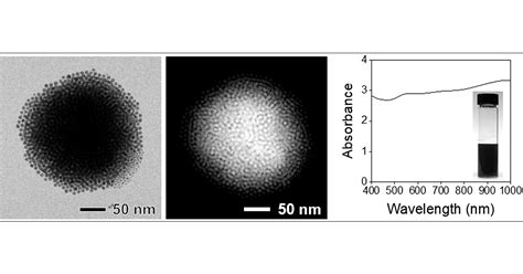 Direct Chemical Synthesis Of Plasmonic Black Colloidal Gold