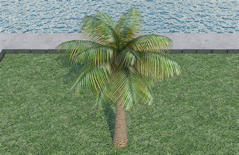 낮은 폴리 트리 컬렉션 3d 모델 36 Max Free3d