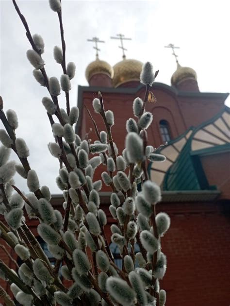 Вербное воскресенье в 2023 году дата и традиции праздника