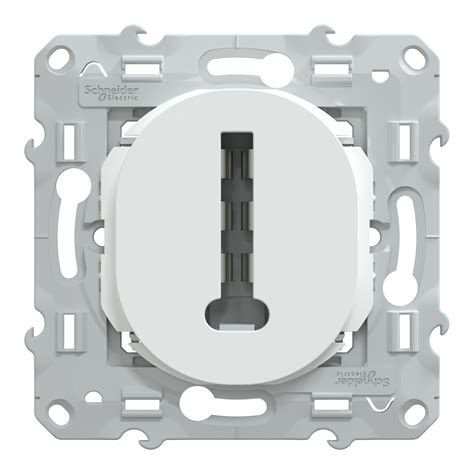Prise Téléphone à Assembler Ovalis Schneider Electric Blanc Leroy Merlin