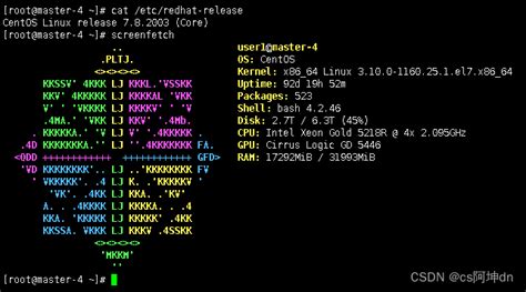 kubernetes证书热更新期限至100年【ha高可用集群】 kubeadm安装 证书100年 csdn博客