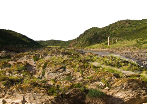 Pulo Gambar Png File Vektor Dan Psd Unduh Gratis Di Pngtree