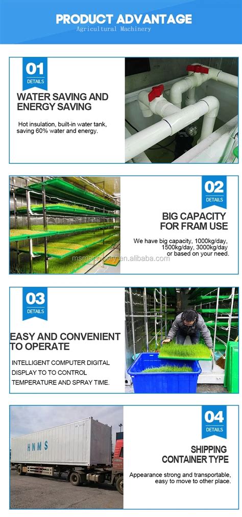 Fully Automatic Automated Hydroponic System Buy Automated Hydroponic System Automated