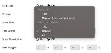 Essential Grid Lightbox Captions Support Themeco Forum