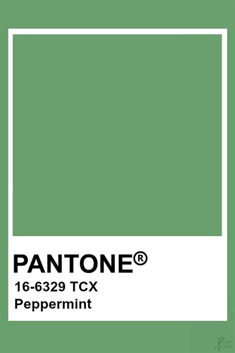 Pantone Peppermint Kleurenpalet Woonkamer Kleuren Gekleurde Kasten