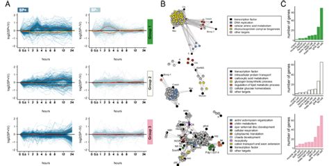 Mating And Sp Alter Metabolic And Neuronal Regulatory Networks A Download Scientific Diagram