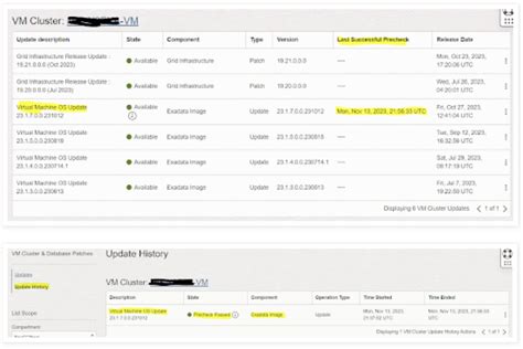 Exacc Patch Virtual Machine Vm Cluster Os Image