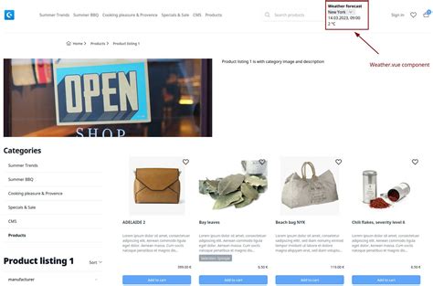 Create A Vuejs Composable And Call Any Api Within Shopware Frontends Brocksinet