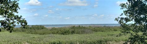 Lake Jesup Observation Platform Trail 154 Reviews Map Florida