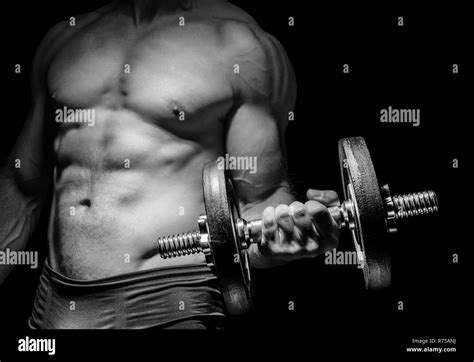 Abdominal Rectus Muscle Hi Res Stock Photography And Images Alamy