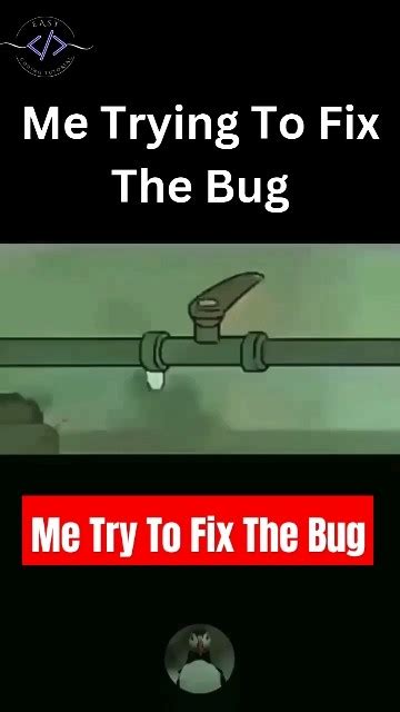 Thats How I Tackle Bug 🐛 In My Code Shorts Memes Youtube