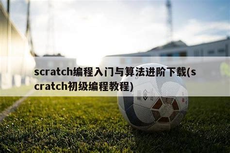 Scratch编程入门与算法进阶下载scratch初级编程教程 黔优网