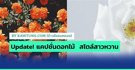 Update แคปชั่นดอกไม้ โพสต์เรียกไลก์…สไตล์สาวหวาน