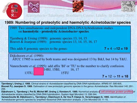 Ppt Acinetobacter Taxonomy And Identification Mario Vaneechoutte Laboratory Bacteriology
